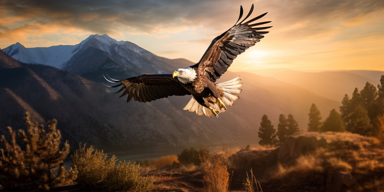 Bald Eagle Flying – Breathtaking Visuals